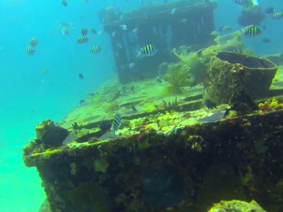 Le Top des spots de plongée à Saint-Martin - Lagon Travel
